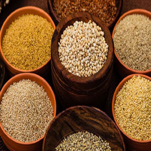 Buy Millet Online : Foxtail, Little Millet, Barnyard Millet, Kod