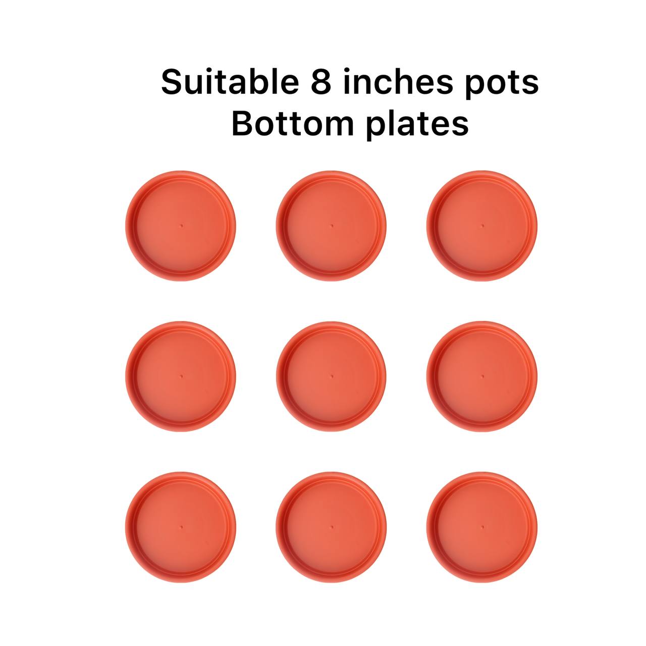 UV Treated Round Bottom Tray/Plate/ Suitable for 8 inch Round Plastic ...